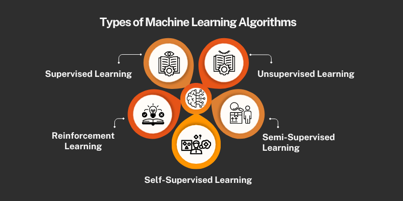 ML Learning Types — Understanding the Differences Between Major Algorithms Machi